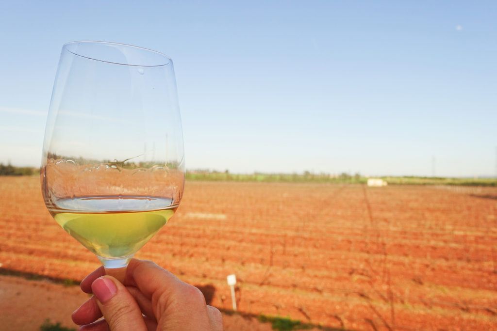 Moroccan Wine Tasting: An Afternoon At Domaine de la Zouina